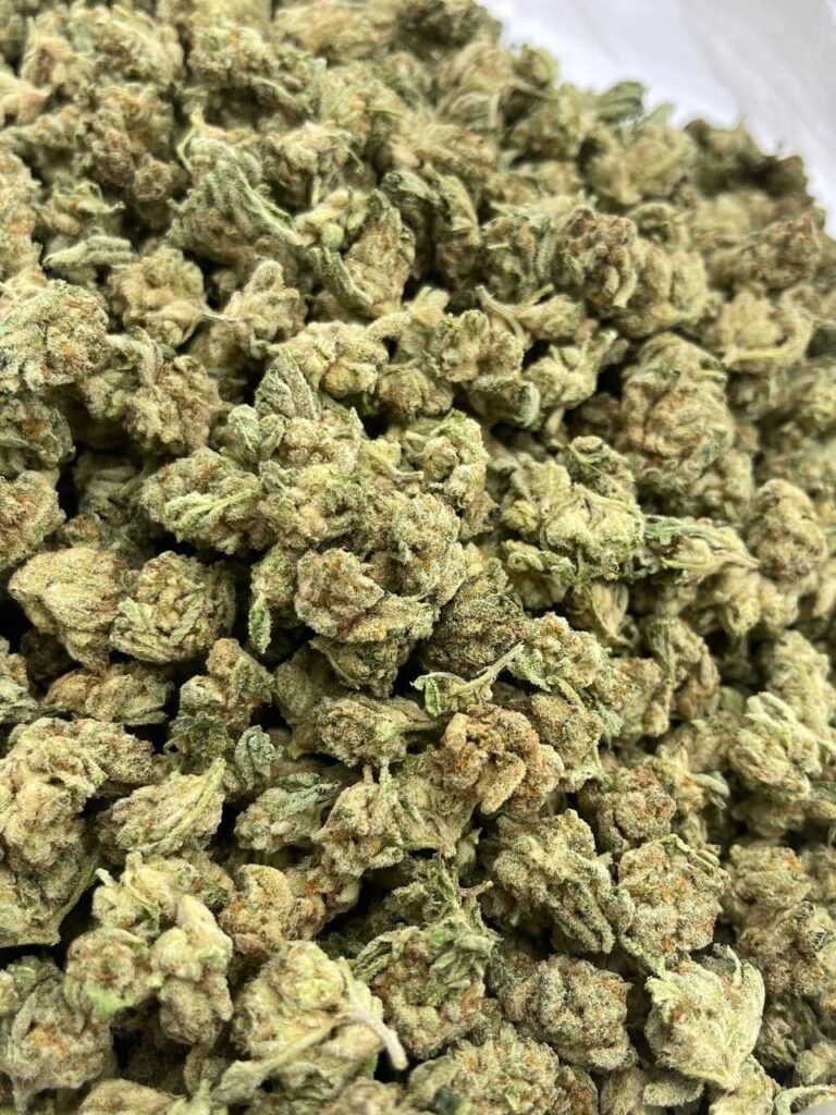 Animal Mints | Buy Premium CBD Products | Premium Cannabis Online